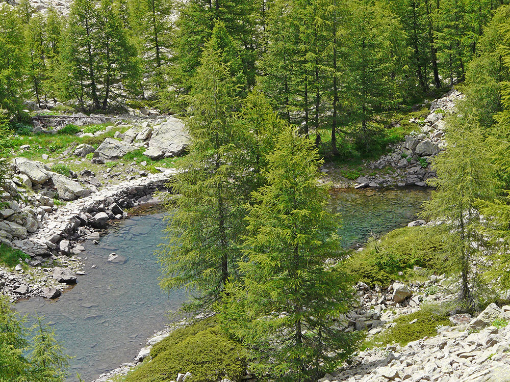 Route des Grandes Alpes, RGA